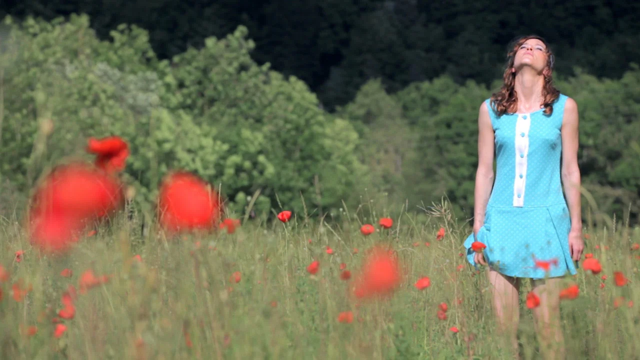 TRAILER - The Glass Hedgehog (Le Hérisson de Verre) on Vimeo