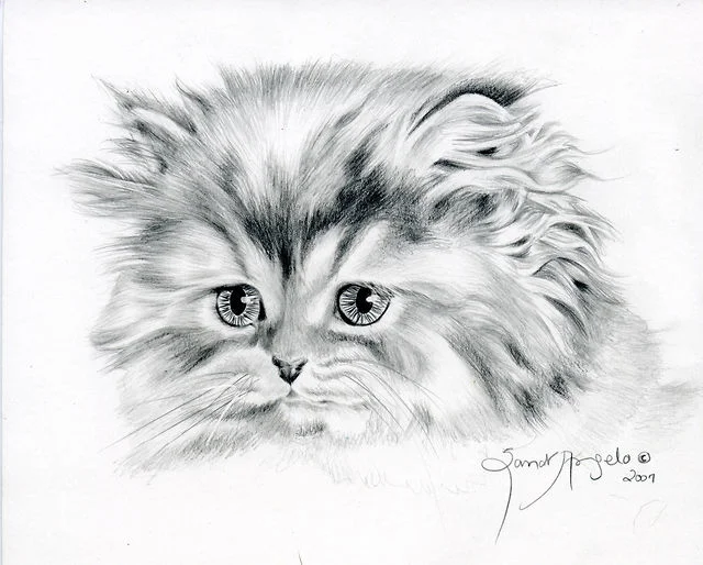 Discover Art with Sandra - Art Workshops to Go - How to Draw a Cat ...