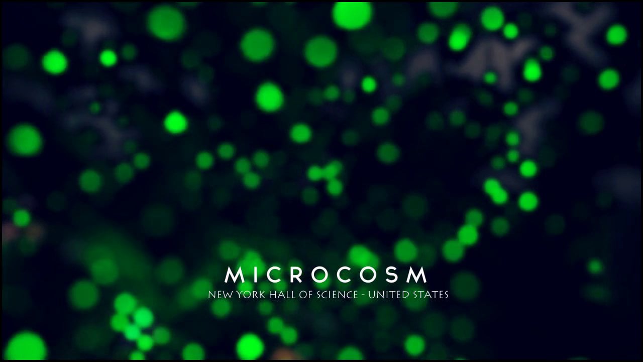 Architectural Visualization for MICROCOSM INSTALLATION, NEW YORK HALL ...