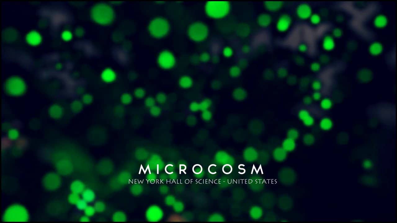 Architectural Visualization for MICROCOSM INSTALLATION, NEW YORK HALL ...