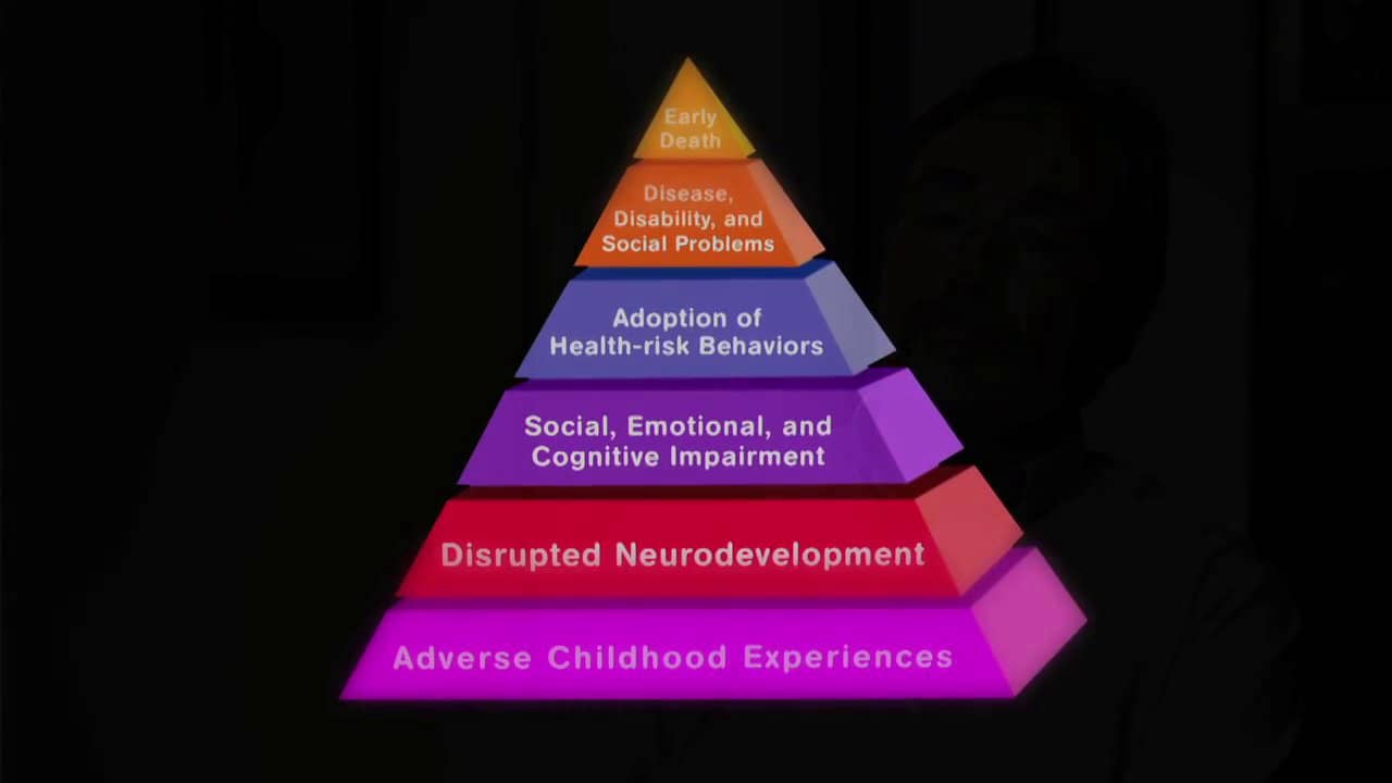 ACE Study Brief Overview (8:00) on Vimeo