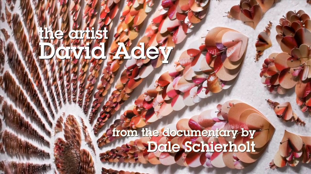David Adey Preview #1 on Vimeo