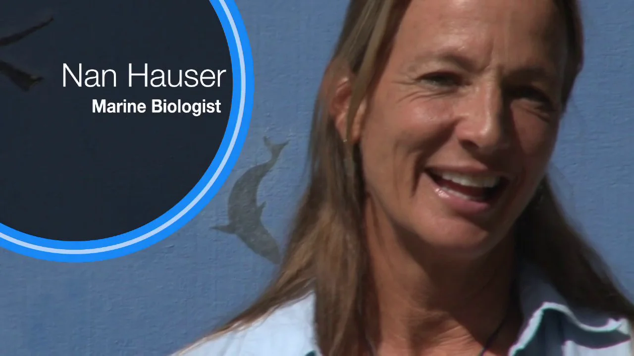 Nan Hauser: Marine Adventurer / Whale Defender on Vimeo