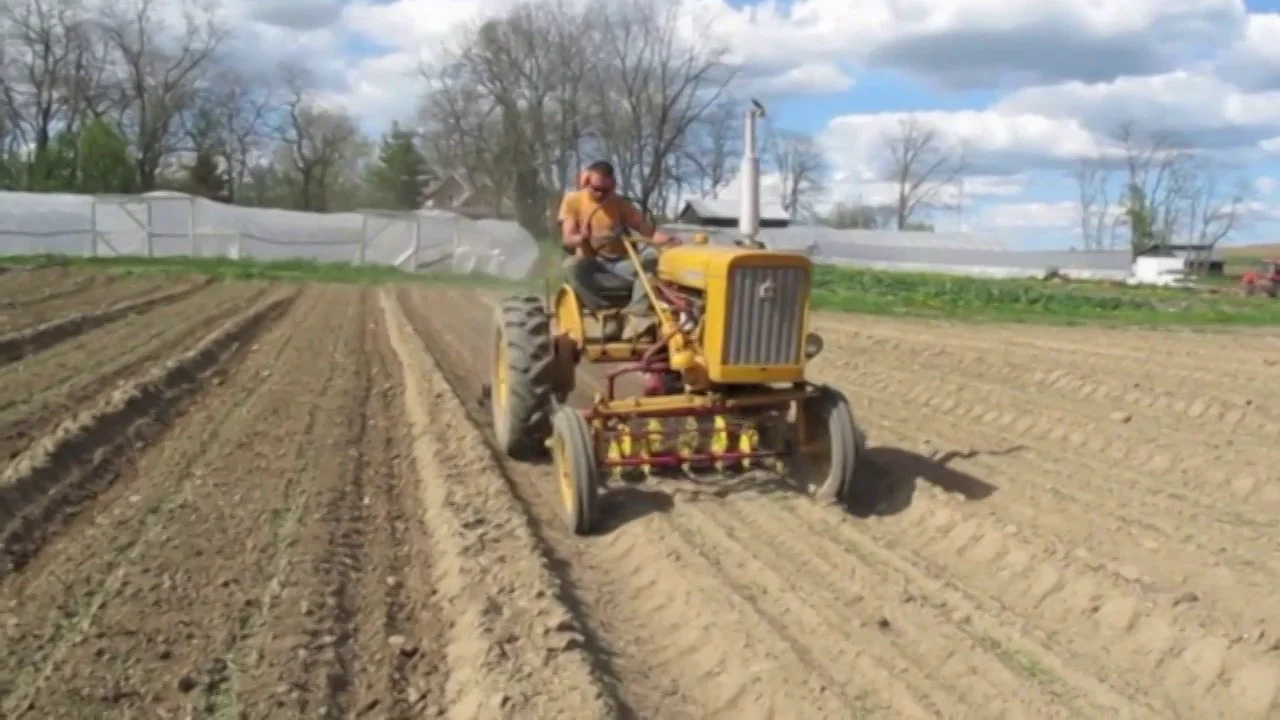 Basket Weeding Spinach on Vimeo