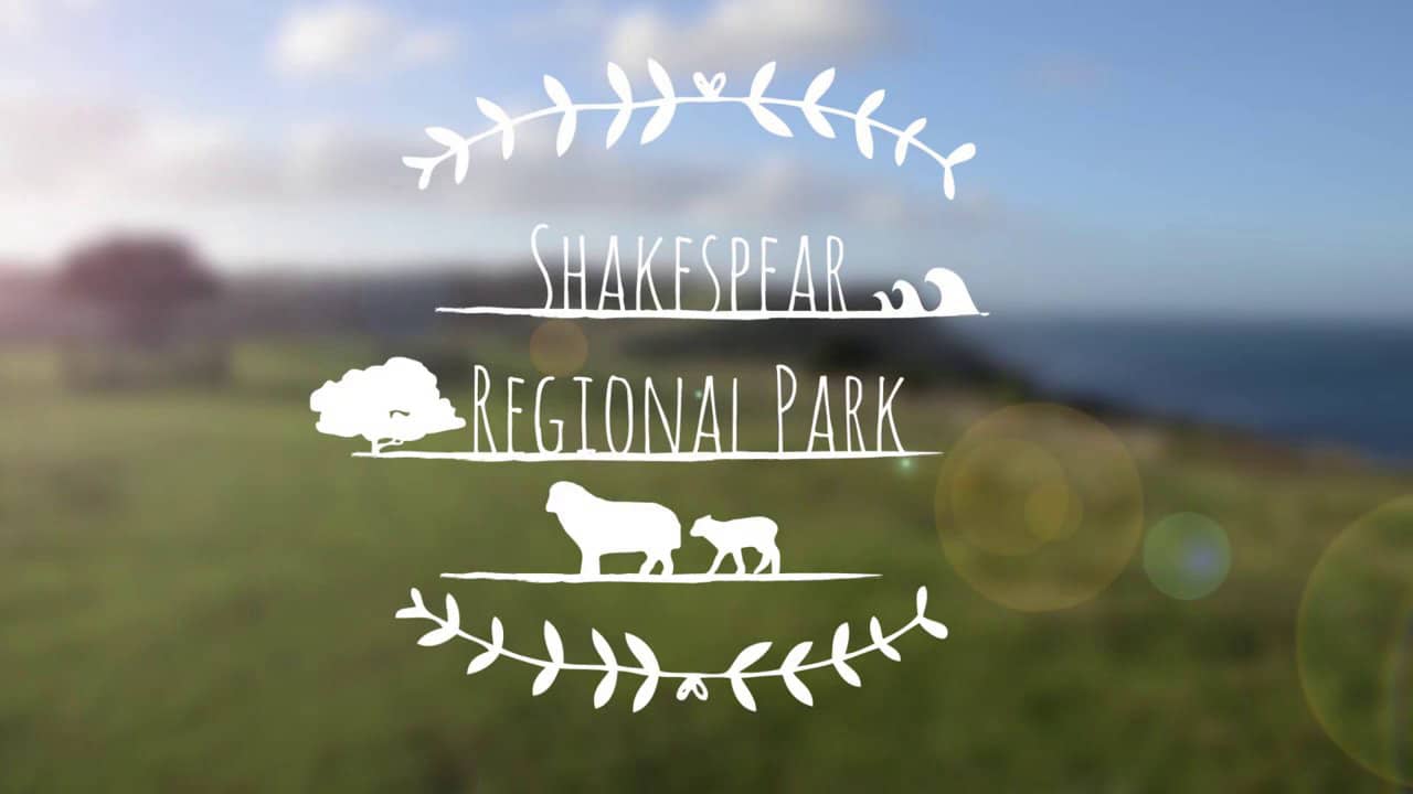 A walk along the Tiritiri Track at Shakespear Regional Park on Vimeo