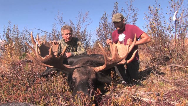 MOUNTAIN MAN ADVENTURES - Trophy Moose Hunting With Mountain Man ...