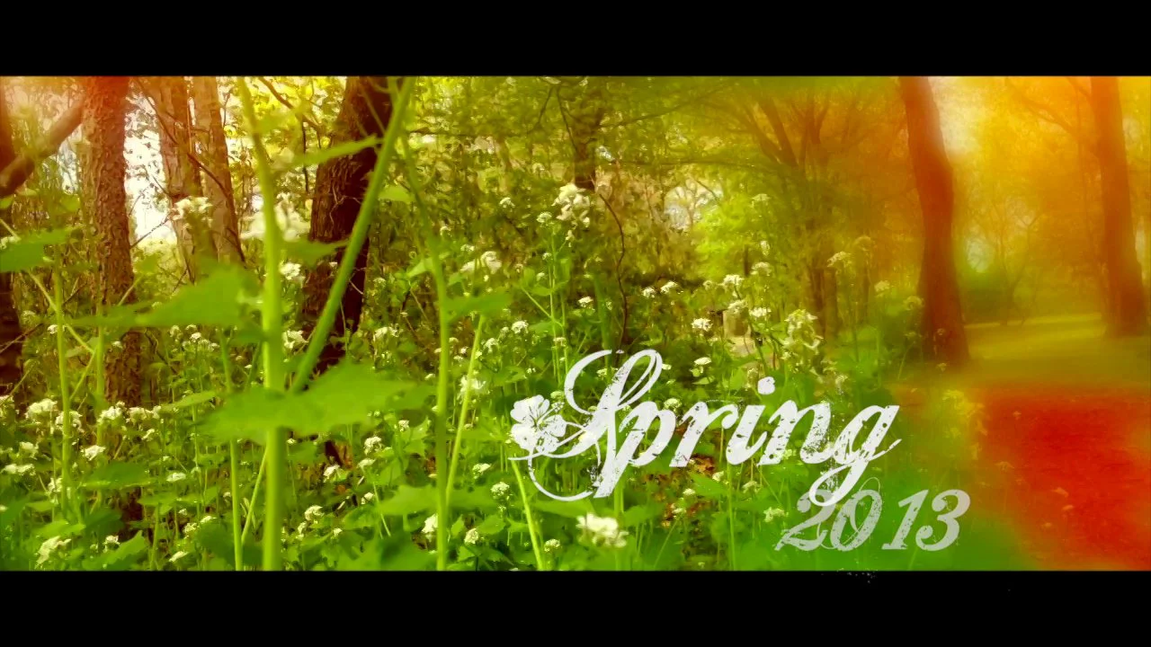 New York | Spring 2013 on Vimeo