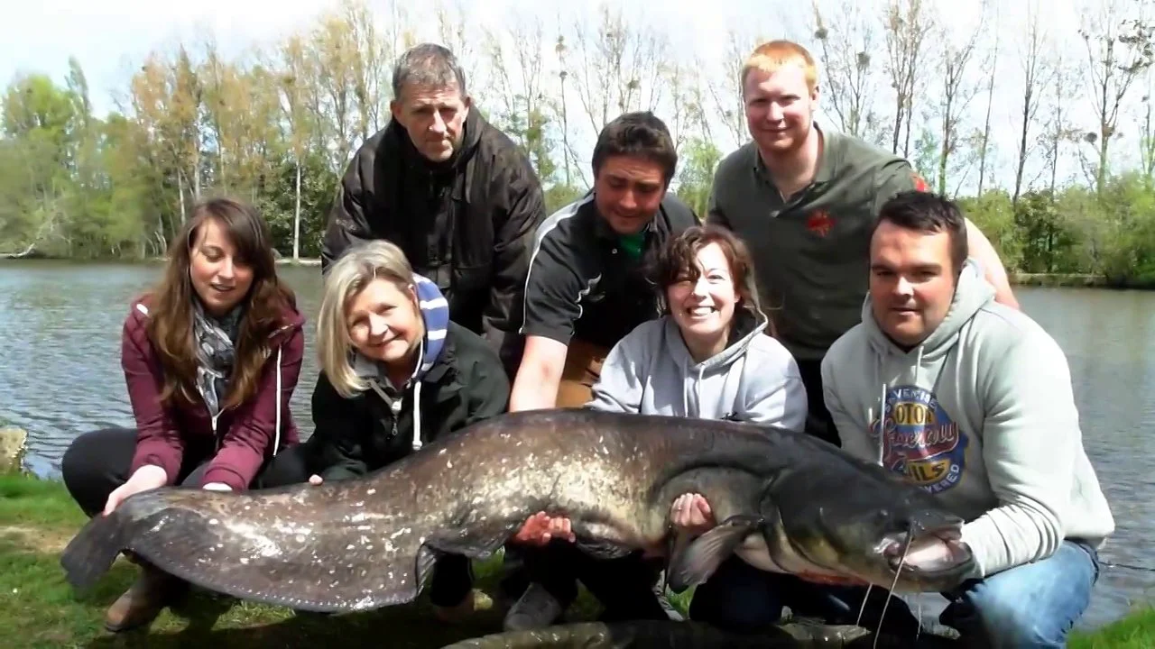 Catfish Fishing France: Angler captures first ever catfish at 75lb on Vimeo