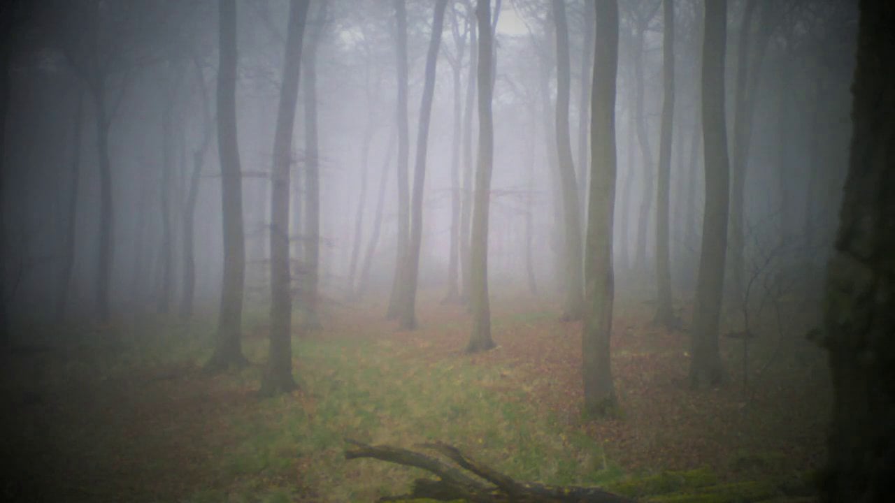 Spring Time Lapse 2013 on Vimeo