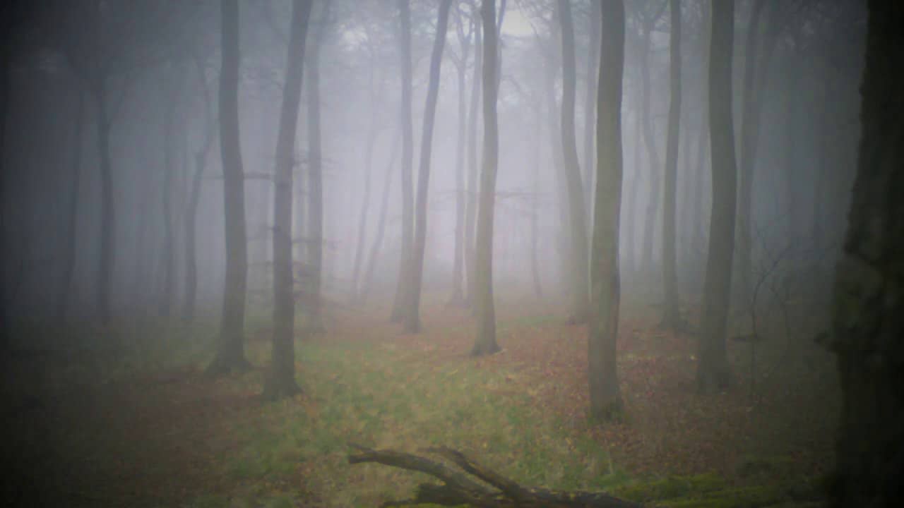 Spring Time Lapse 2013 on Vimeo