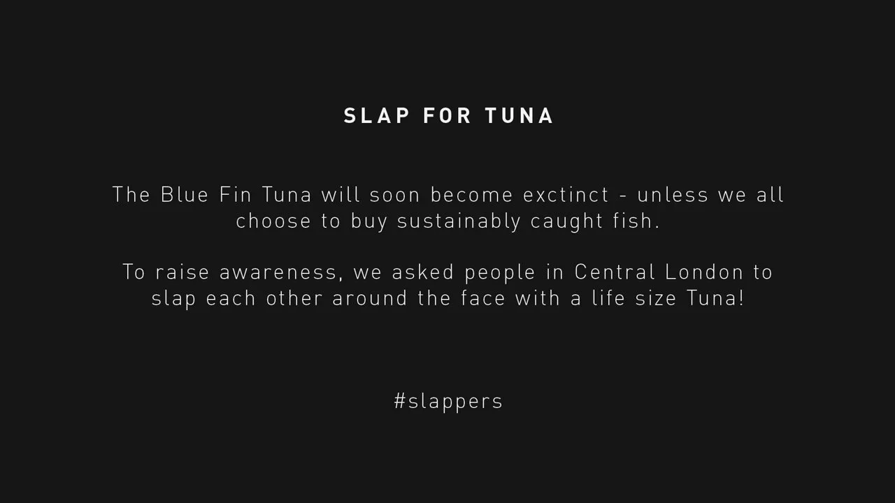 SLAP FOR TUNA on Vimeo