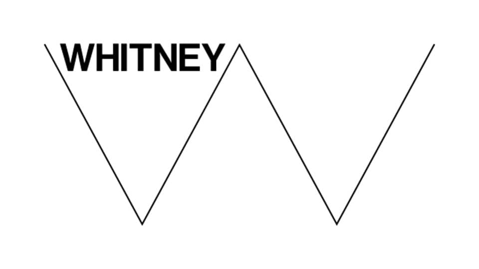 Whitney Graphic Identity by Experimental Jetset on Vimeo