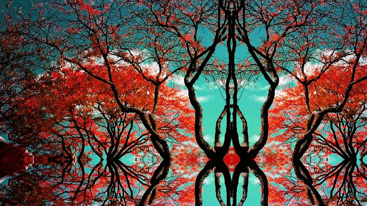 Paracosm (Official Album Teaser) on Vimeo