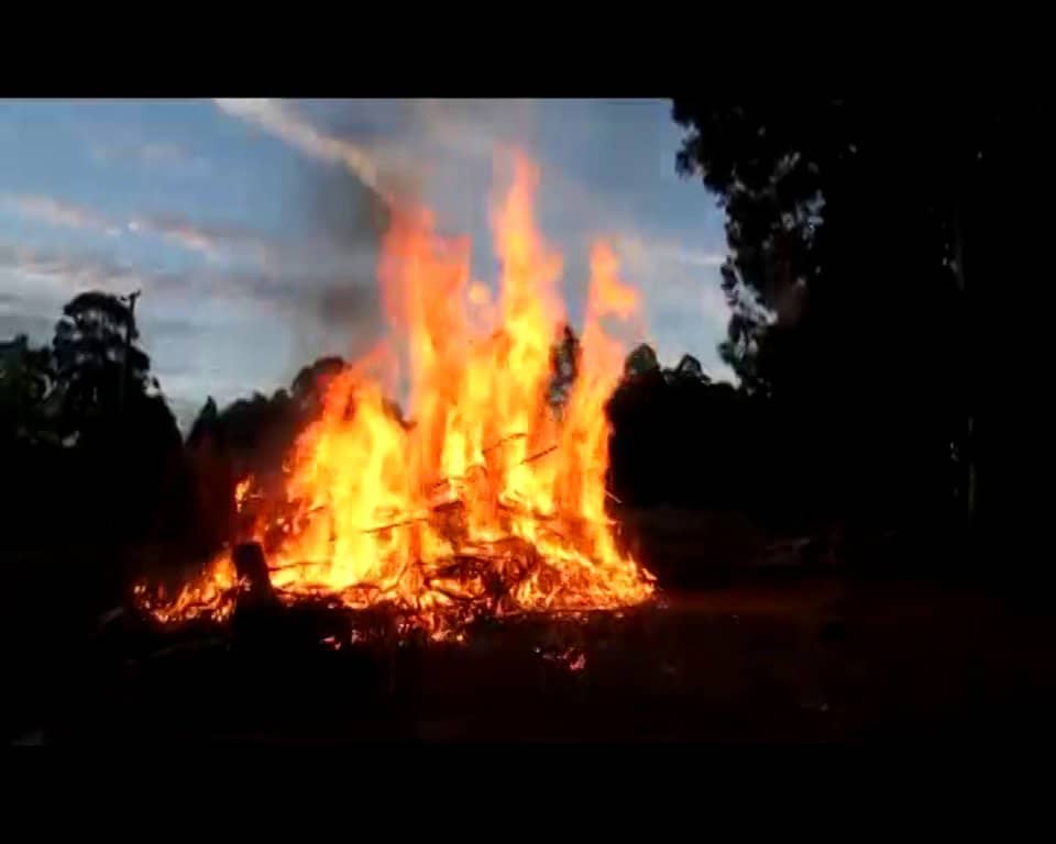 Bamboo fireworks on Vimeo