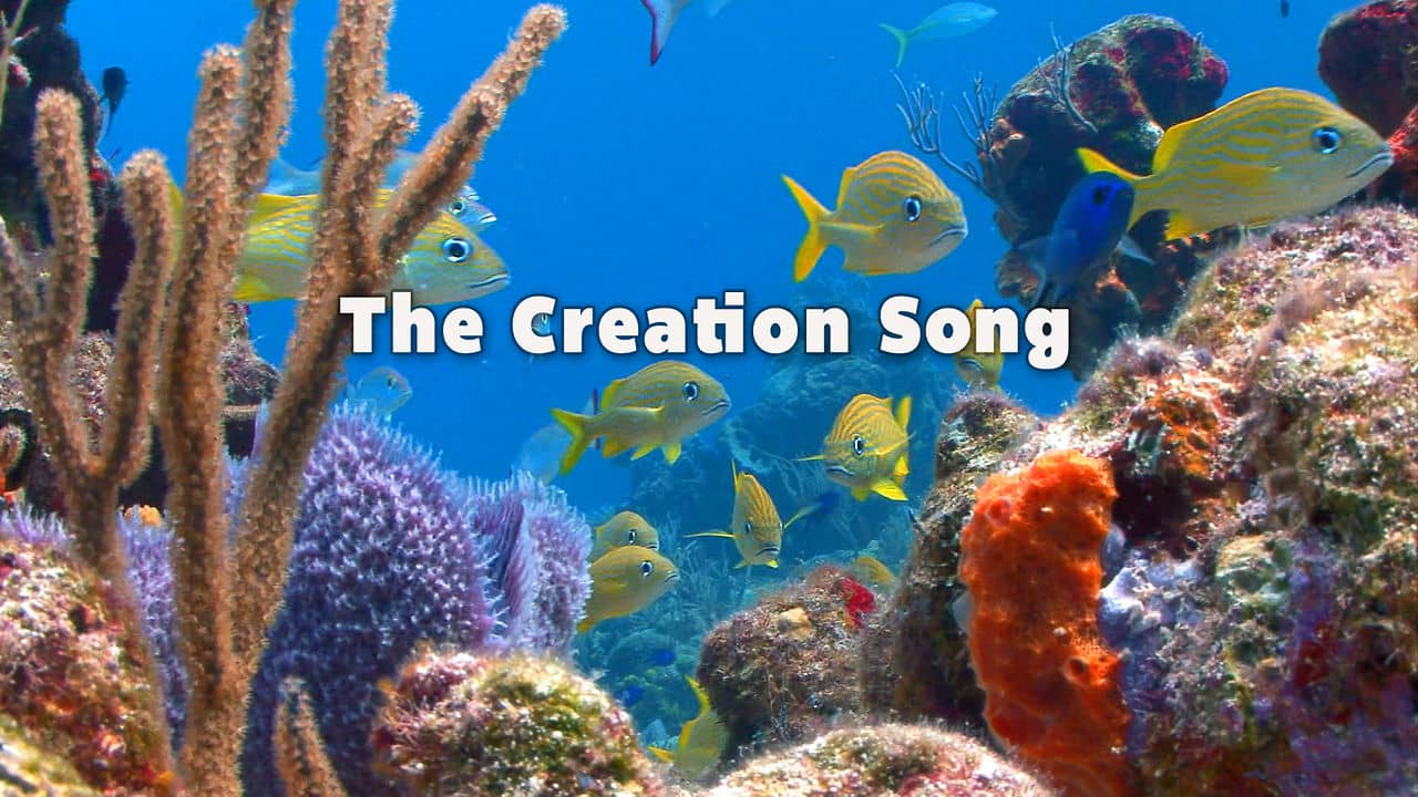 The Creation Song By The Sciencesaurs on Vimeo