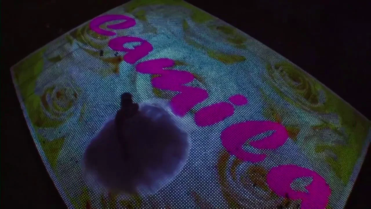 Recopilacion Cami Palacio Leloir on Vimeo