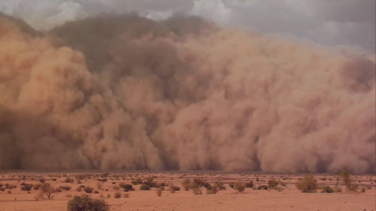 Sandstorm on Vimeo