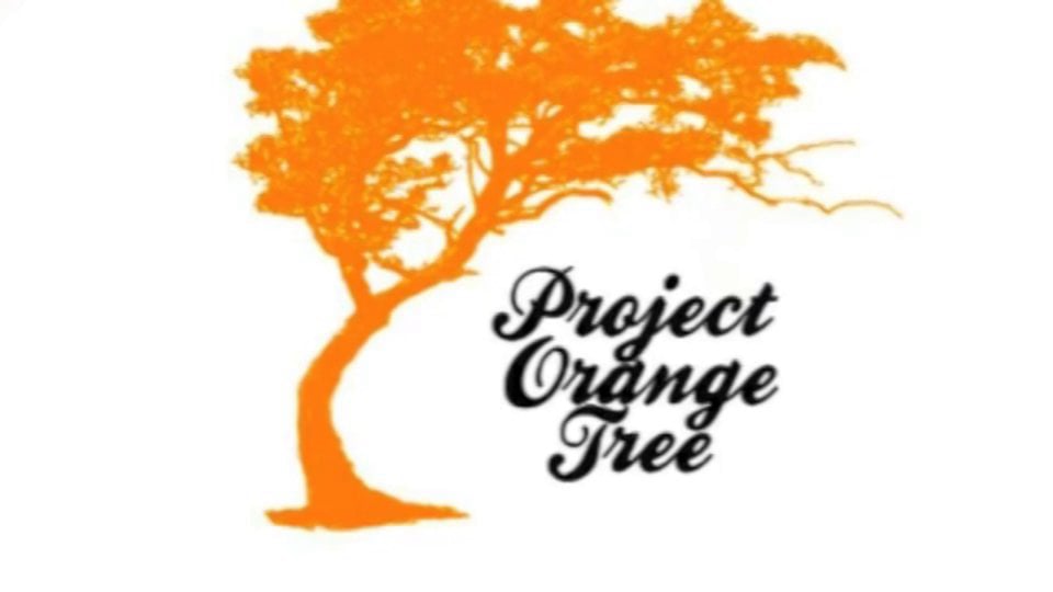 POLICY PROJECT AS ACTION: Project Orange Tree on Vimeo
