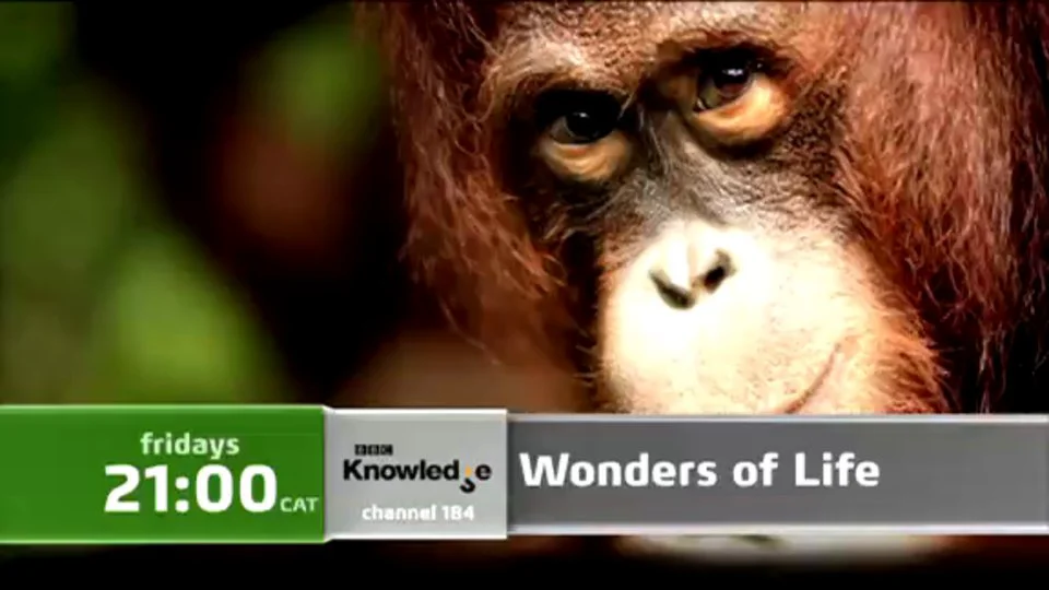 Discovery Documentaries Promo - DSTV