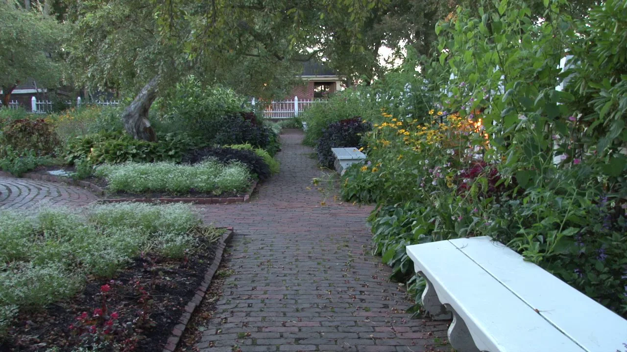 Greg Lapointe - 2012 on Vimeo