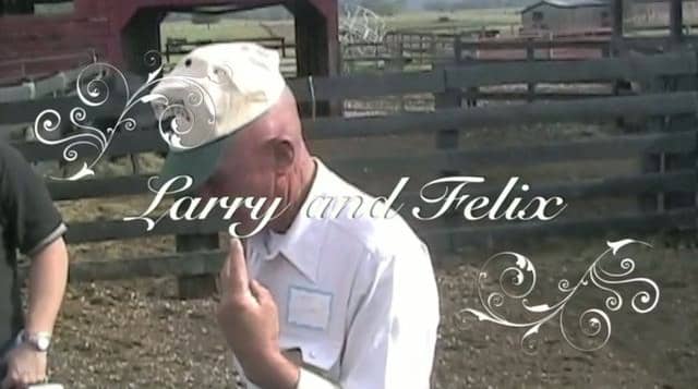Larry and Felix on Vimeo