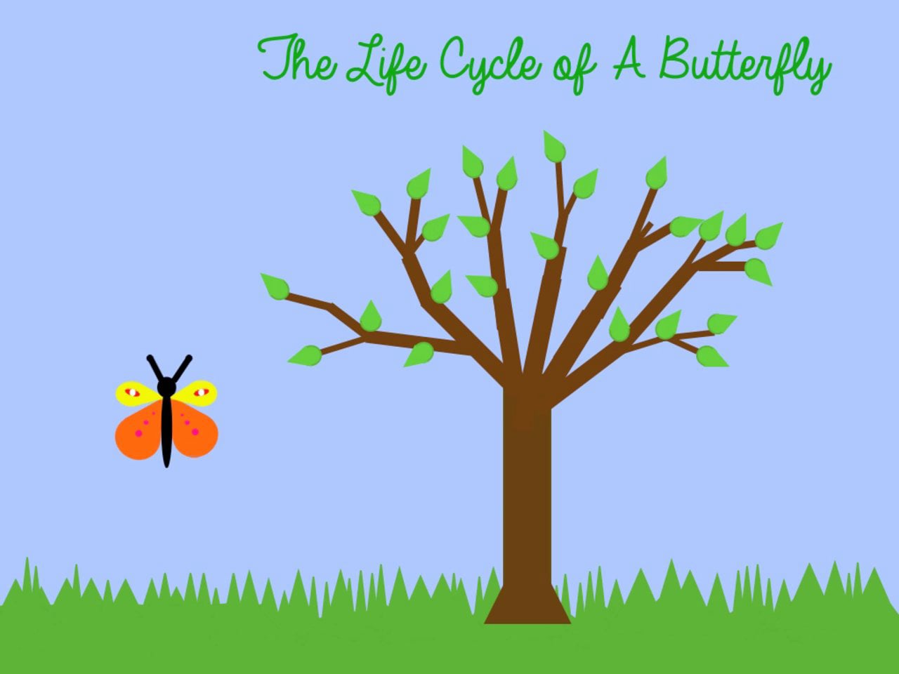 Butterfly Life Cycle Animation from Nina on Vimeo