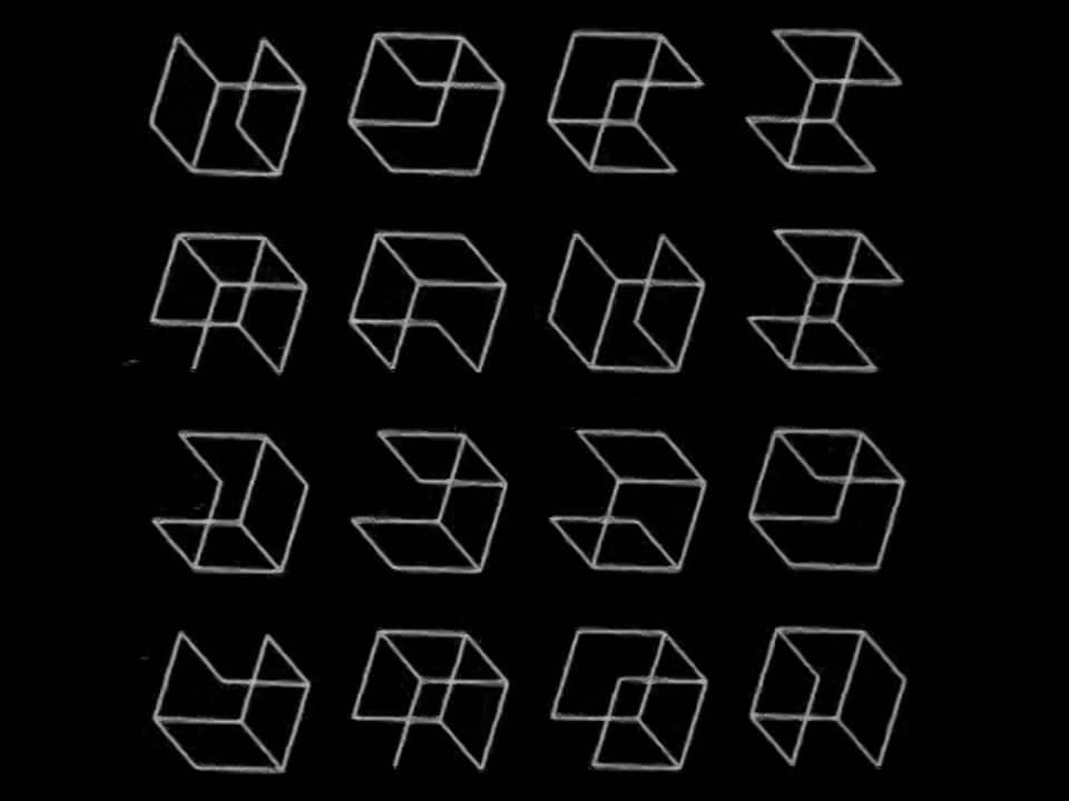 Manfred Mohr, "Cubic Limit," 1973-74 on Vimeo