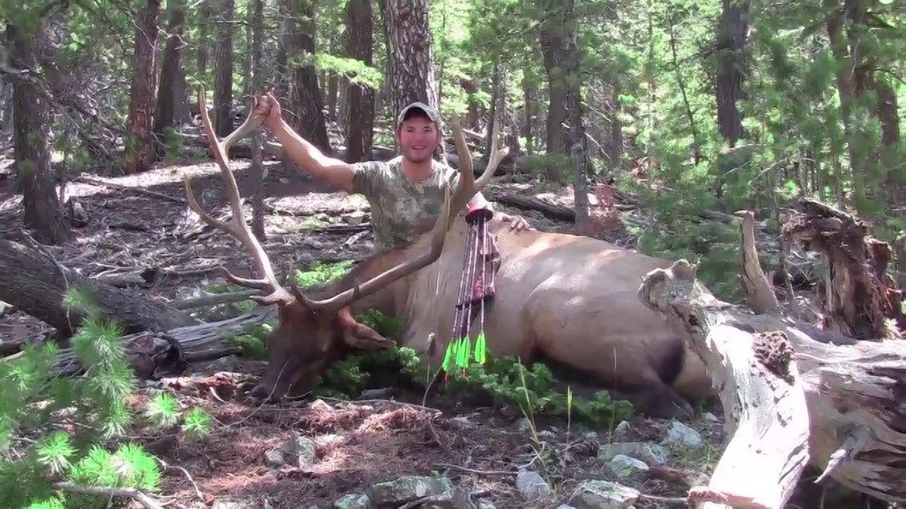 Elk Hunting with a Recurve!! on Vimeo