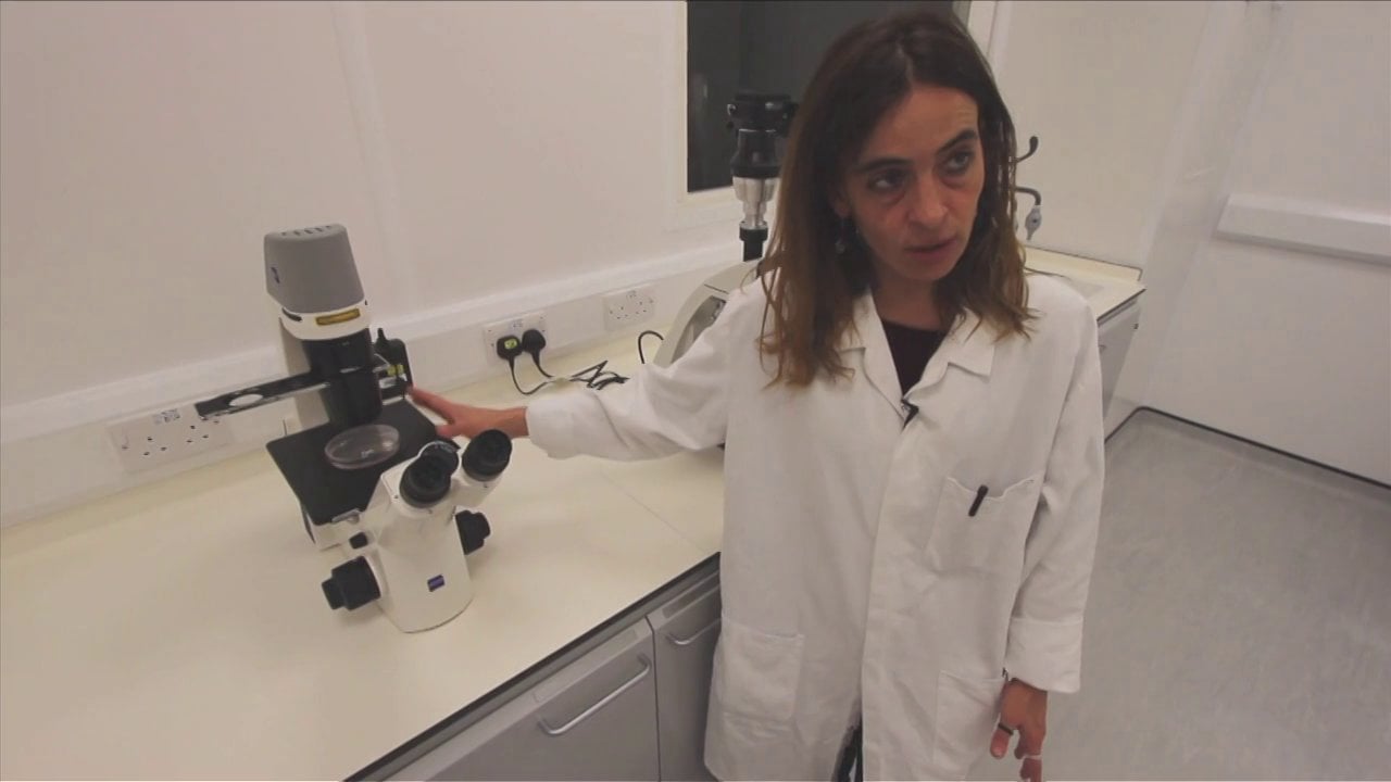 Dr. Sonia Trigueros, Co-director of the Oxford Martin Programme on Nanotechnology on Vimeo