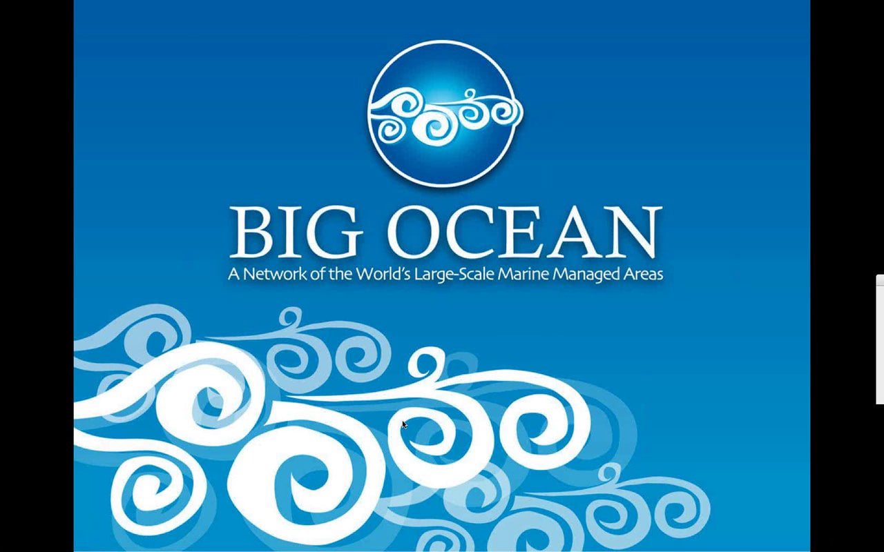 Big Ocean MPA Network: Addressing the common challenges of Large ...