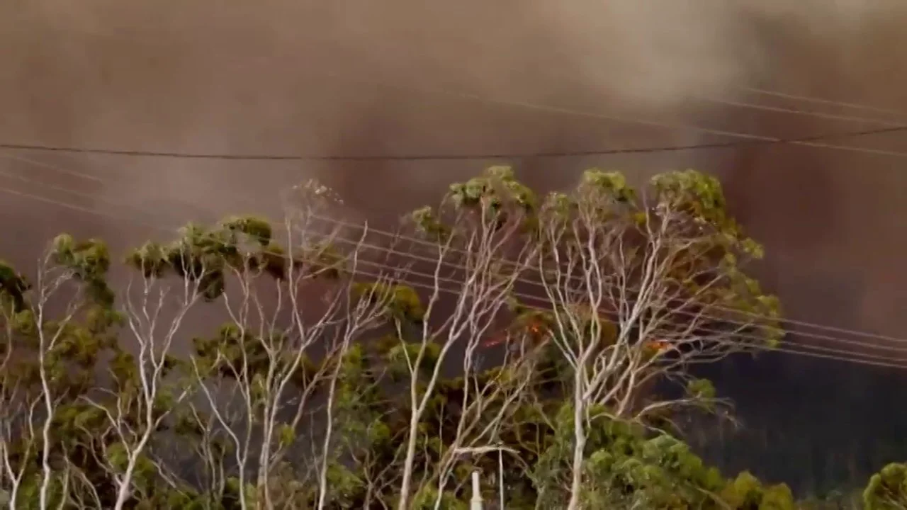 Firestorm- The story of the bushfire at Dunalley - World news - The ...