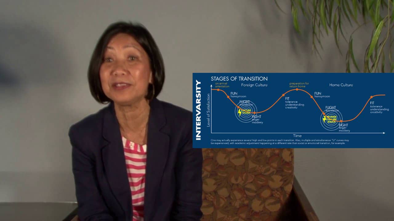 Stages of Cultural Transition on Vimeo