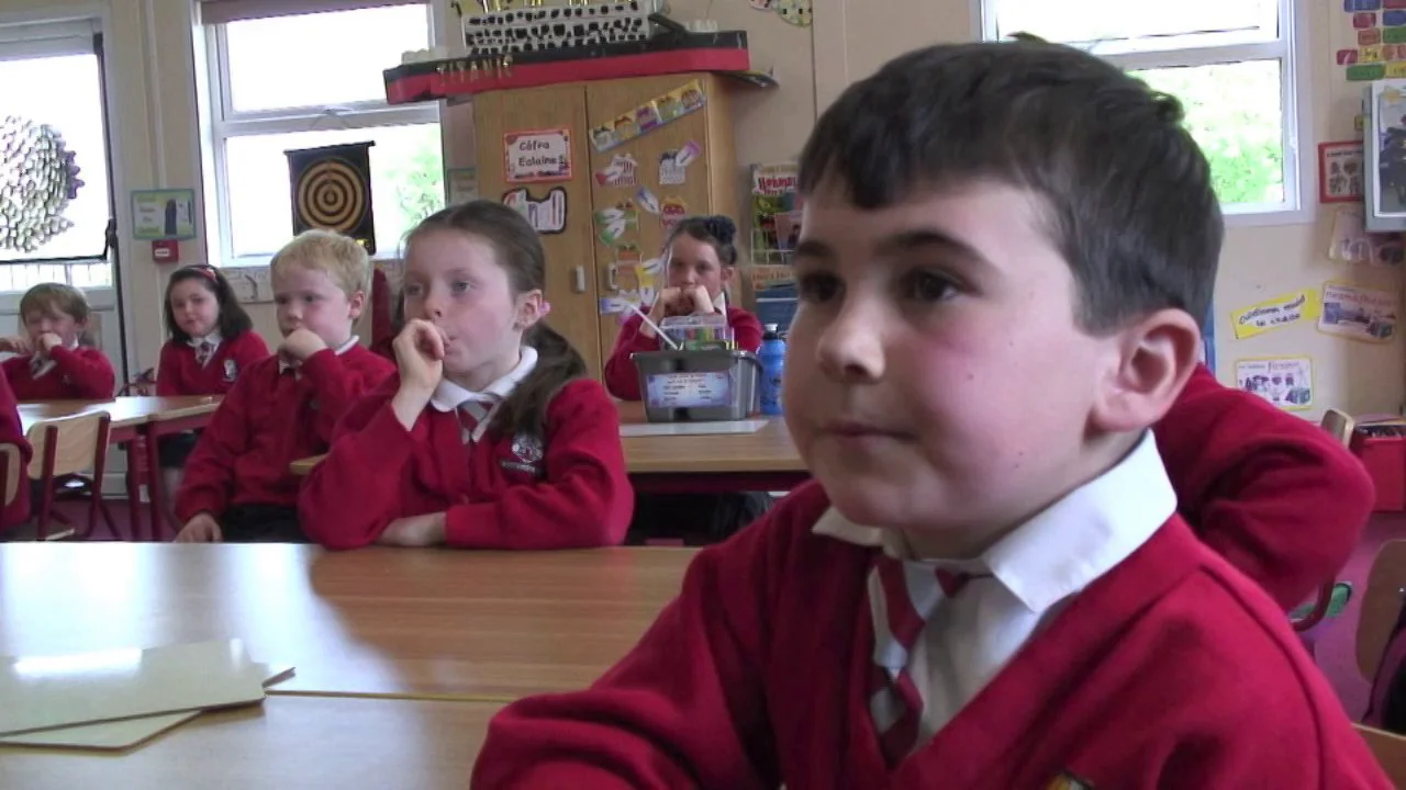 PDST Numeracy - Primary - Mata O Mheabhar 2 on Vimeo