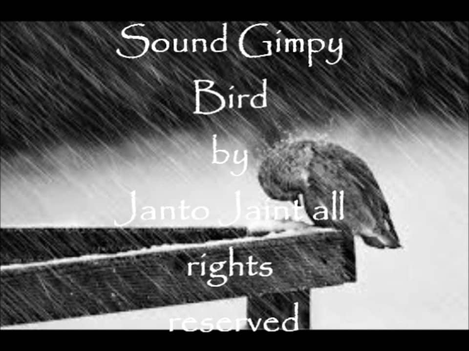 GIMPY BIRD BY JANTO JAINT ALBUM COUNTRY on Vimeo