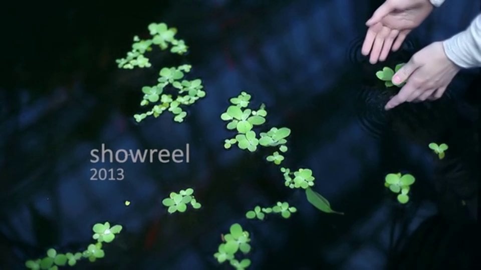 Showreel cinematographer nik panisov on Vimeo