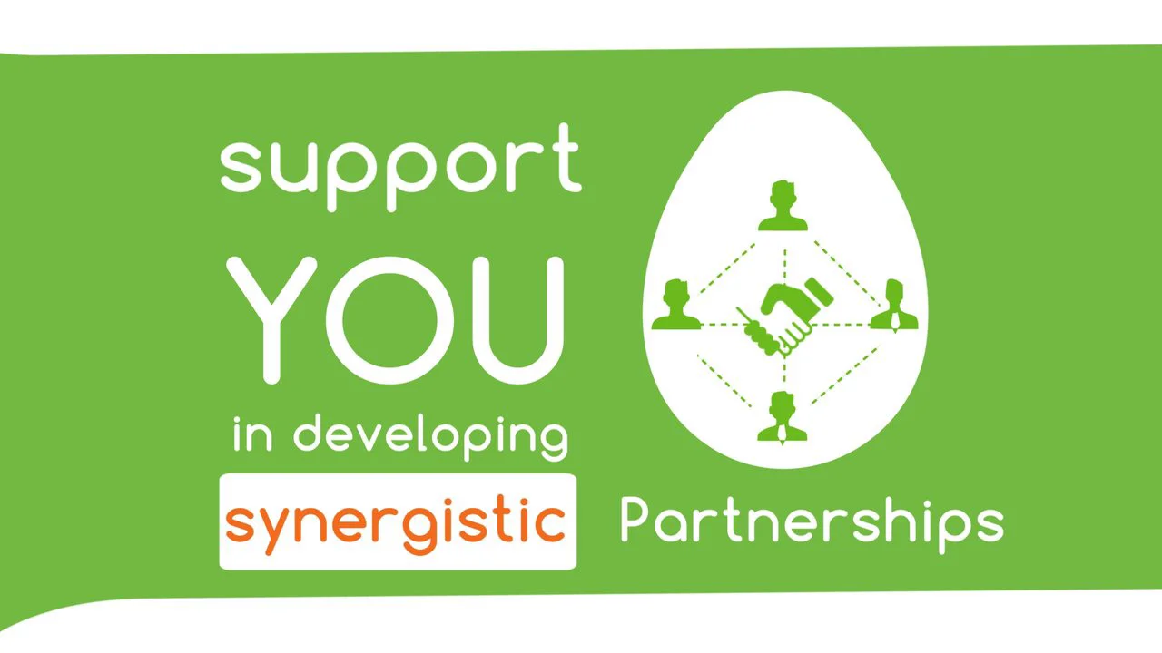 cocoon opening on Vimeo