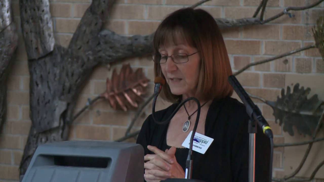 Sue Hammond: Out of the Ashes: Words of Rebirth, Healing, and Hope on Vimeo