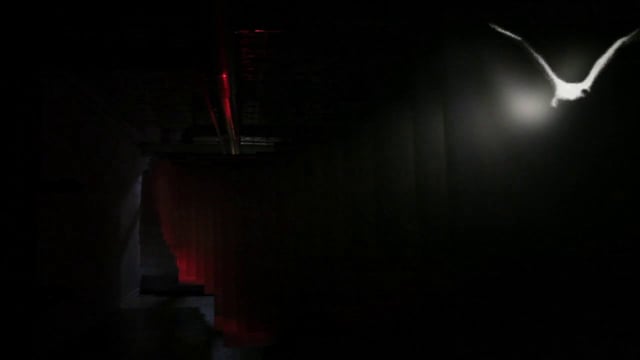 Oren Goldenberg - Kresge Arts in Detroit