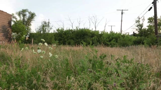 Oren Goldenberg - Kresge Arts in Detroit