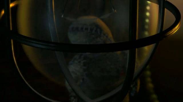 Sebastian's Voodoo (TFF Animation) by Joaquin Baldwin on Vimeo