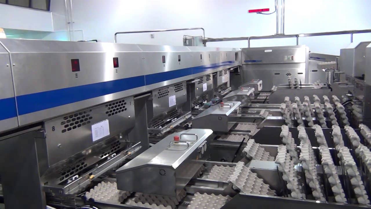 Nuovo Egg Stamper - Easy Stamp R6 on Moba Omnia on Vimeo