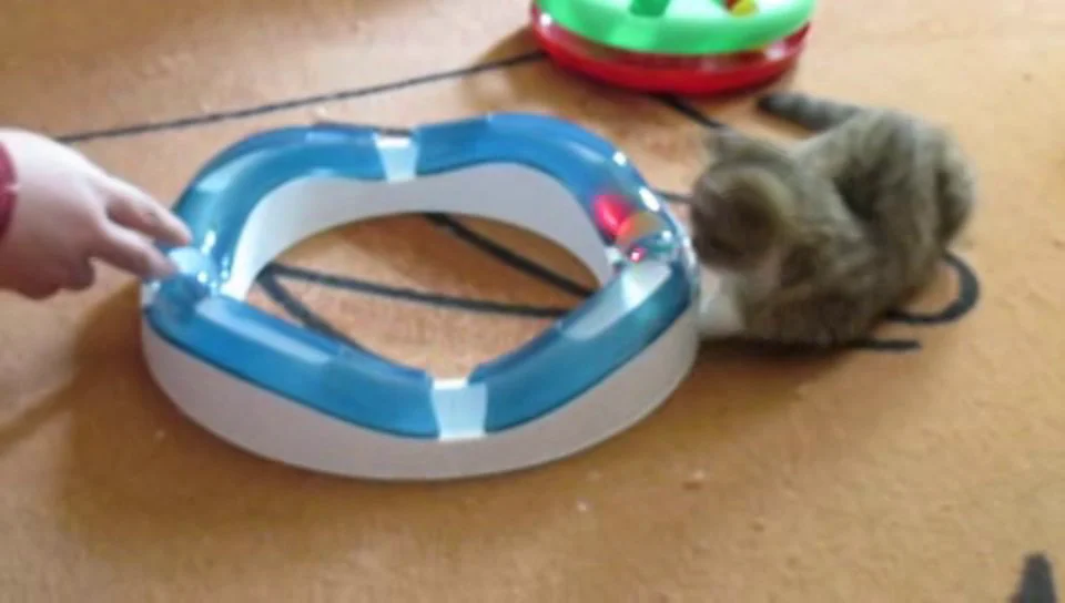 fuzzy 26.6.2013 on Vimeo