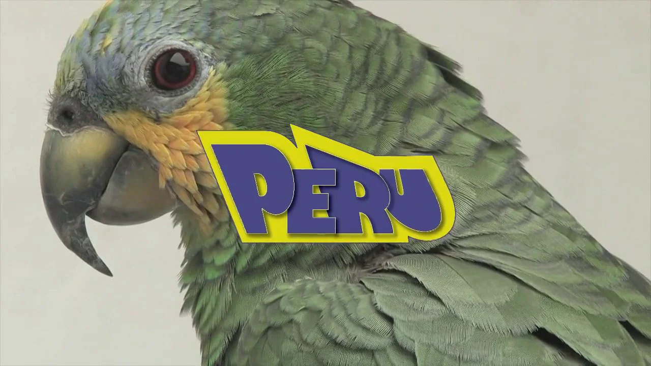 Peru Kids Video on Vimeo