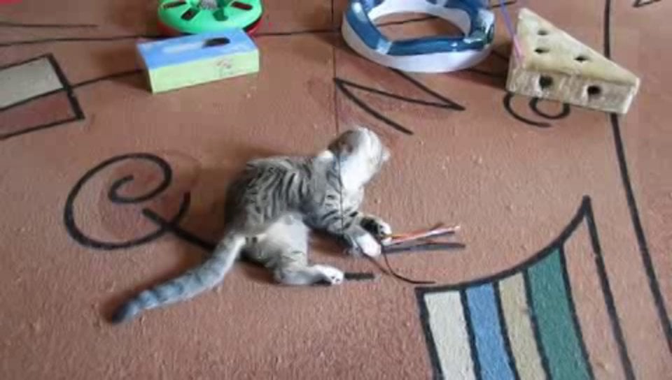 fuzzy 28.6.2013 on Vimeo