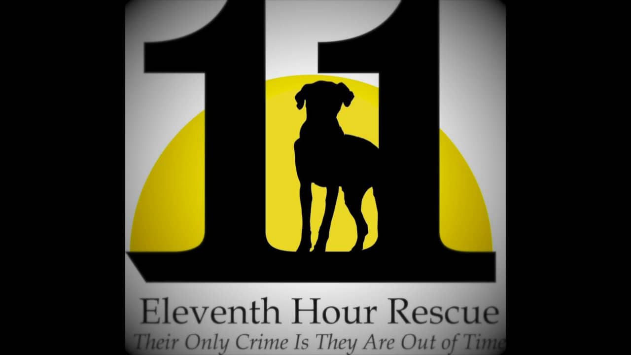 Eleventh Hour Rescue Promotional Video on Vimeo