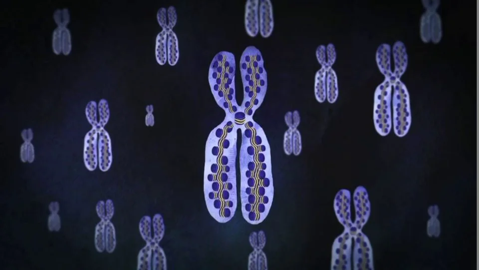 MDX ANIMATION SHOWREEL 2013 on Vimeo