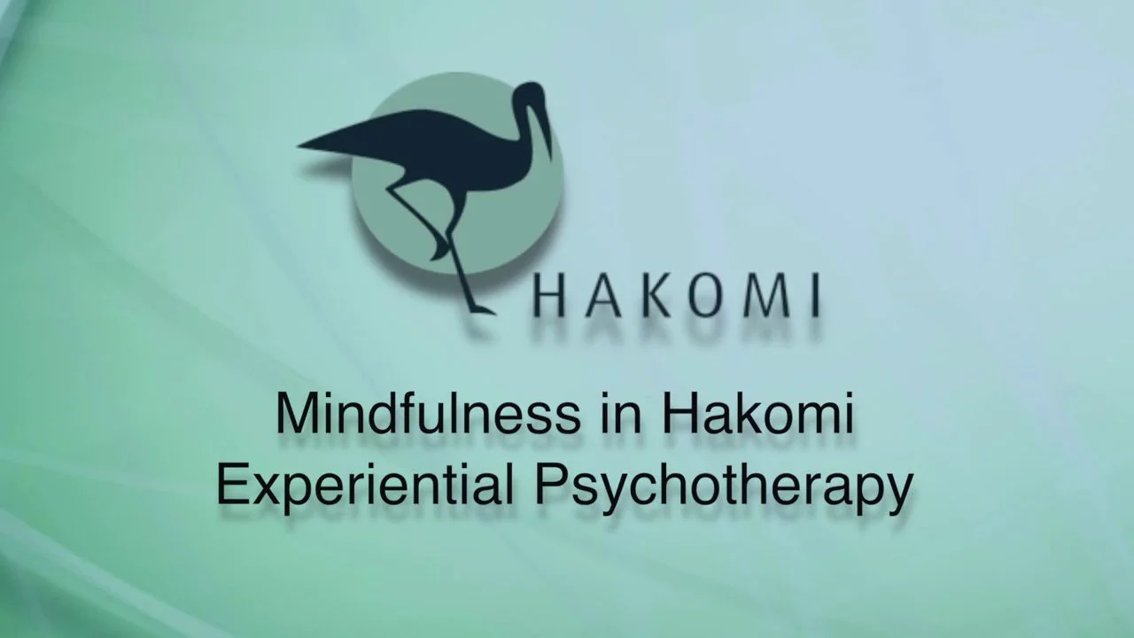 Hakomi - Mindfulness on Vimeo