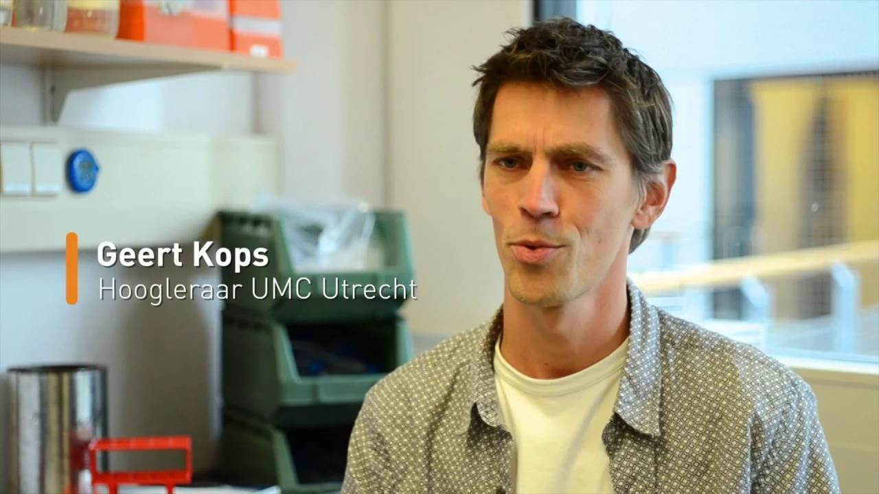 Geert Kops - Making Progress teaser on Vimeo