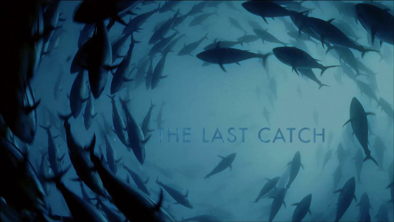 The Last Catch Trailer on Vimeo