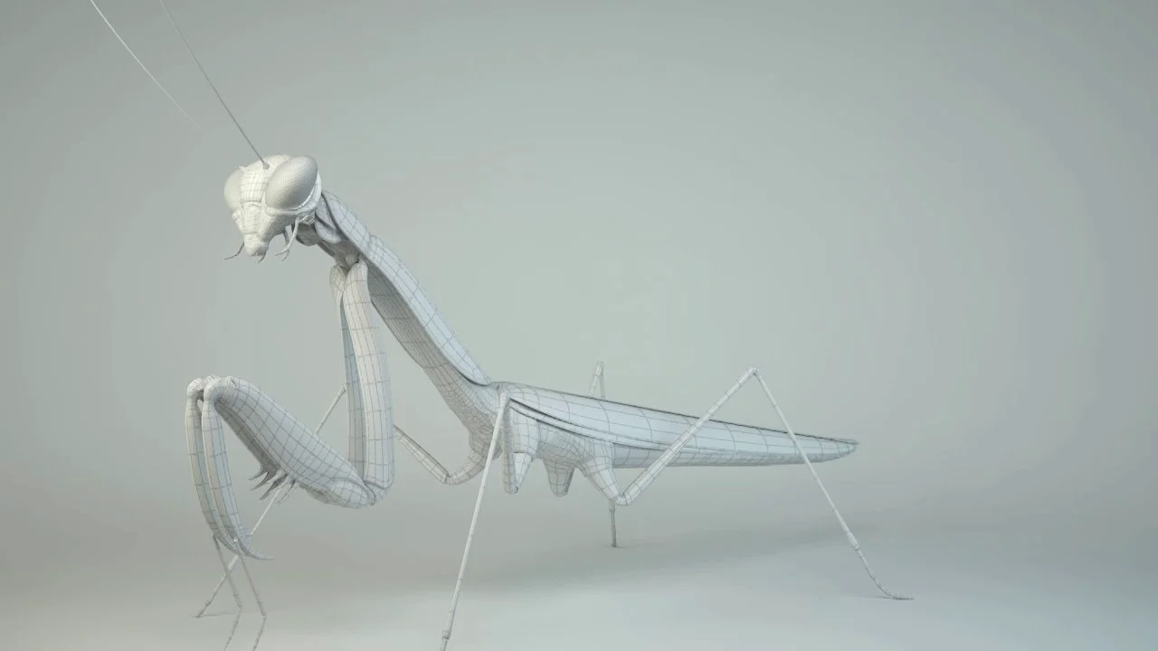 Mantis Model on Vimeo